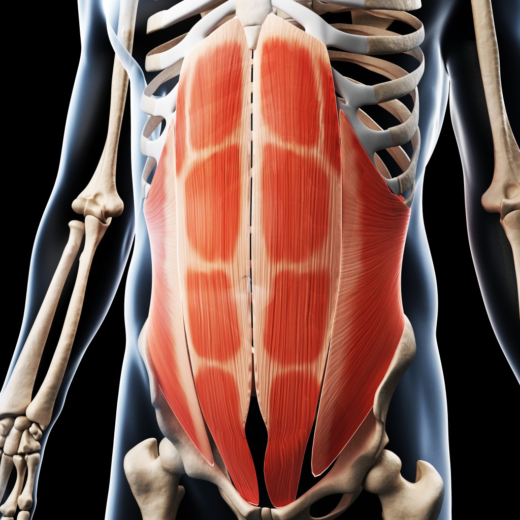 Facioscapulohumeral muscular dystrophy (FSHD) Case Study Highlights ...